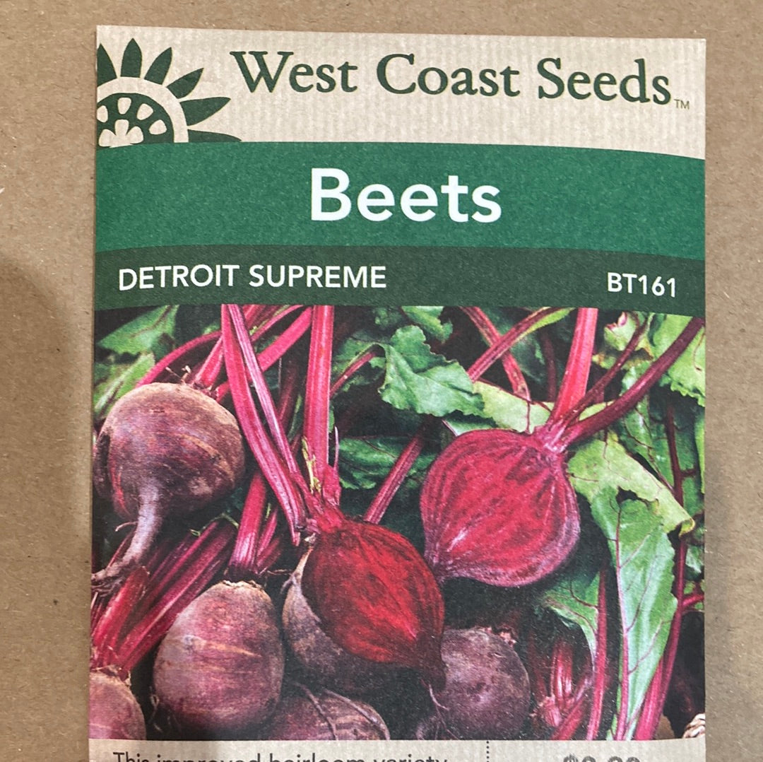 Seed WC Beet Detroit Supreme — Dutch Growers Regina