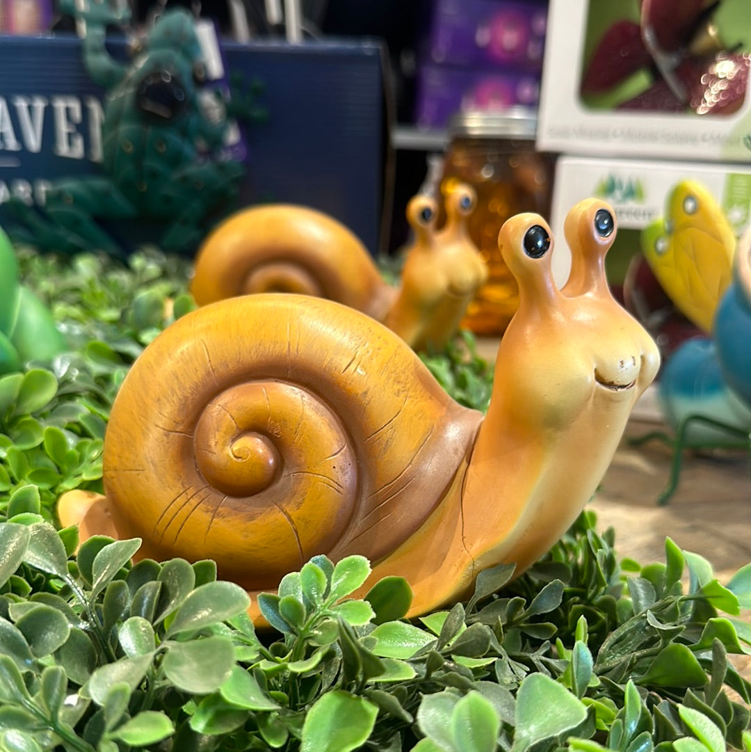 Snail Solar Cool White — Dutch Growers Regina