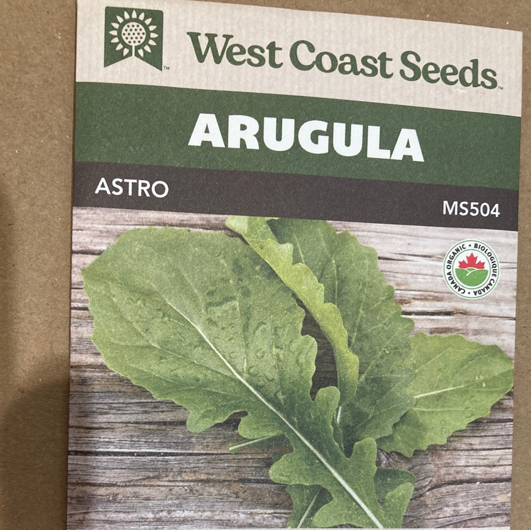 Seed Wc Arugula Astro organic — Dutch Growers Regina