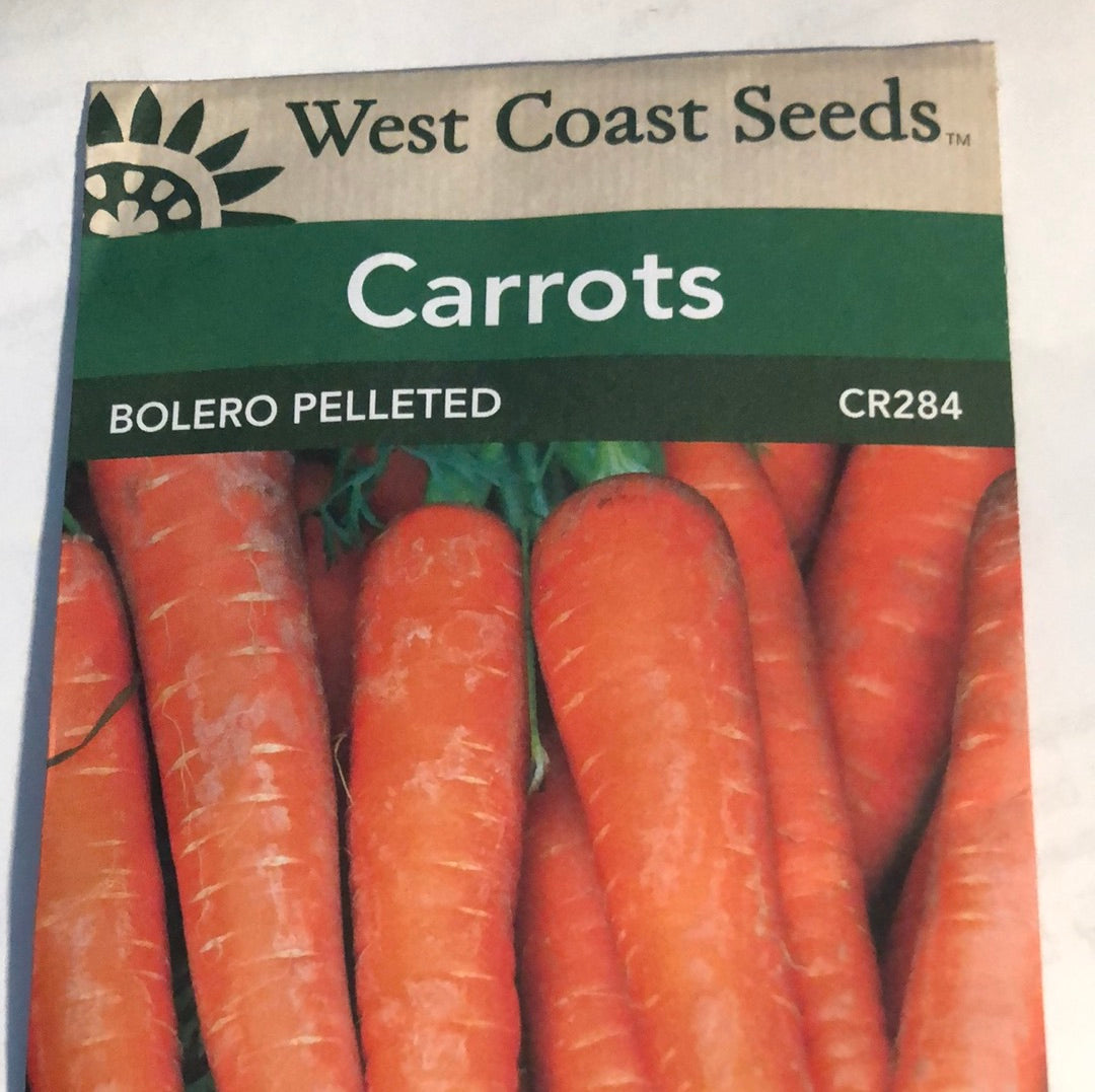 Seed WC Carrot Bolero Pelleted — Dutch Growers Regina