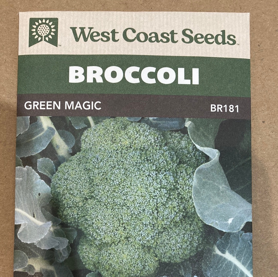 Seed WC Broccoli Green Magic — Dutch Growers Regina