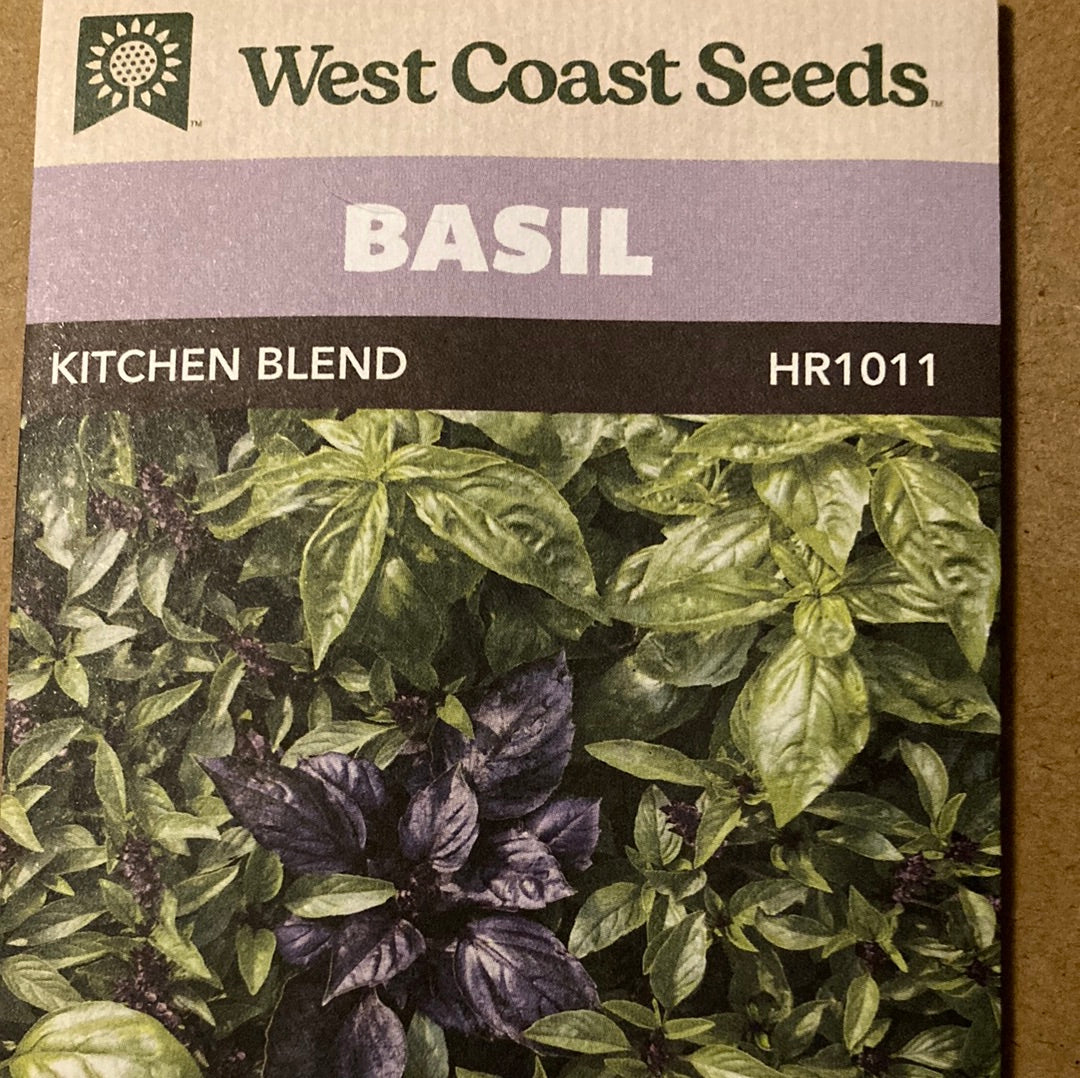 Seed WC Basil Kitchen Blend — Dutch Growers Regina