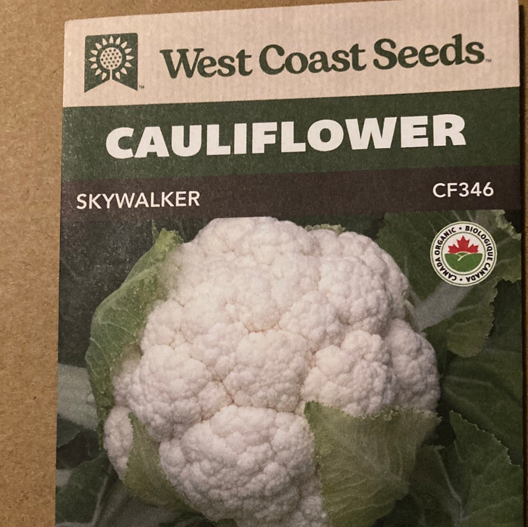Seed WC Cauliflower Skywalker — Dutch Growers Regina