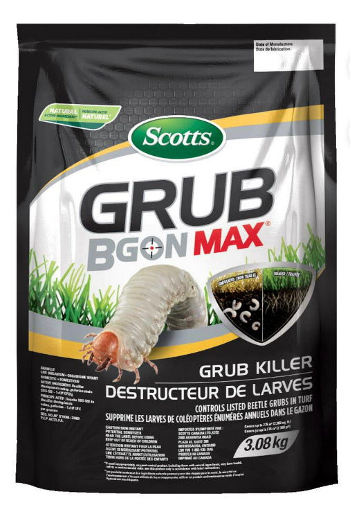Grub BGon Max — Dutch Growers Regina