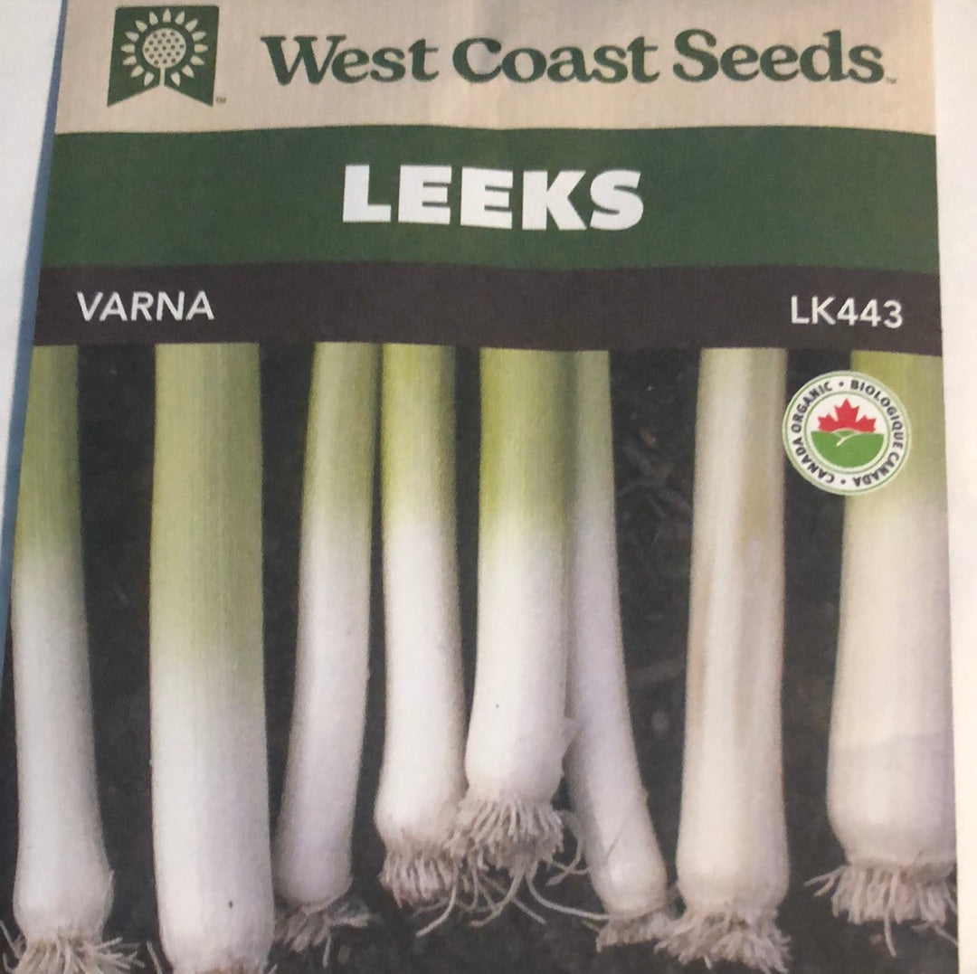 Seed WC Leek ALTO Varna — Dutch Growers Regina
