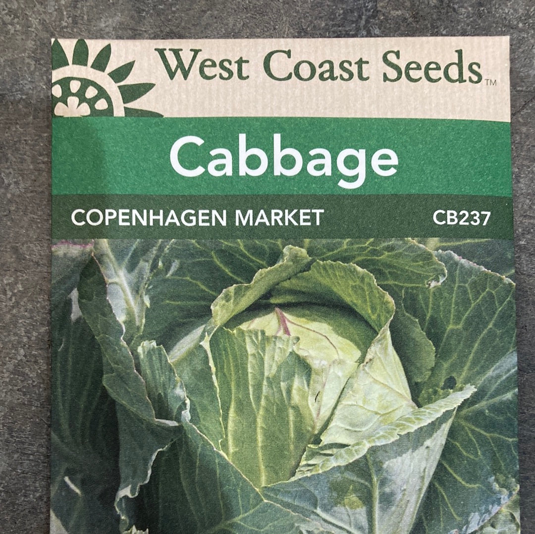 Seed WC Cabbage Copenhagen Market — Dutch Growers Regina