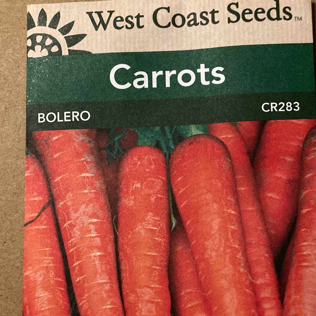 Seed WC Carrots Bolero — Dutch Growers Regina
