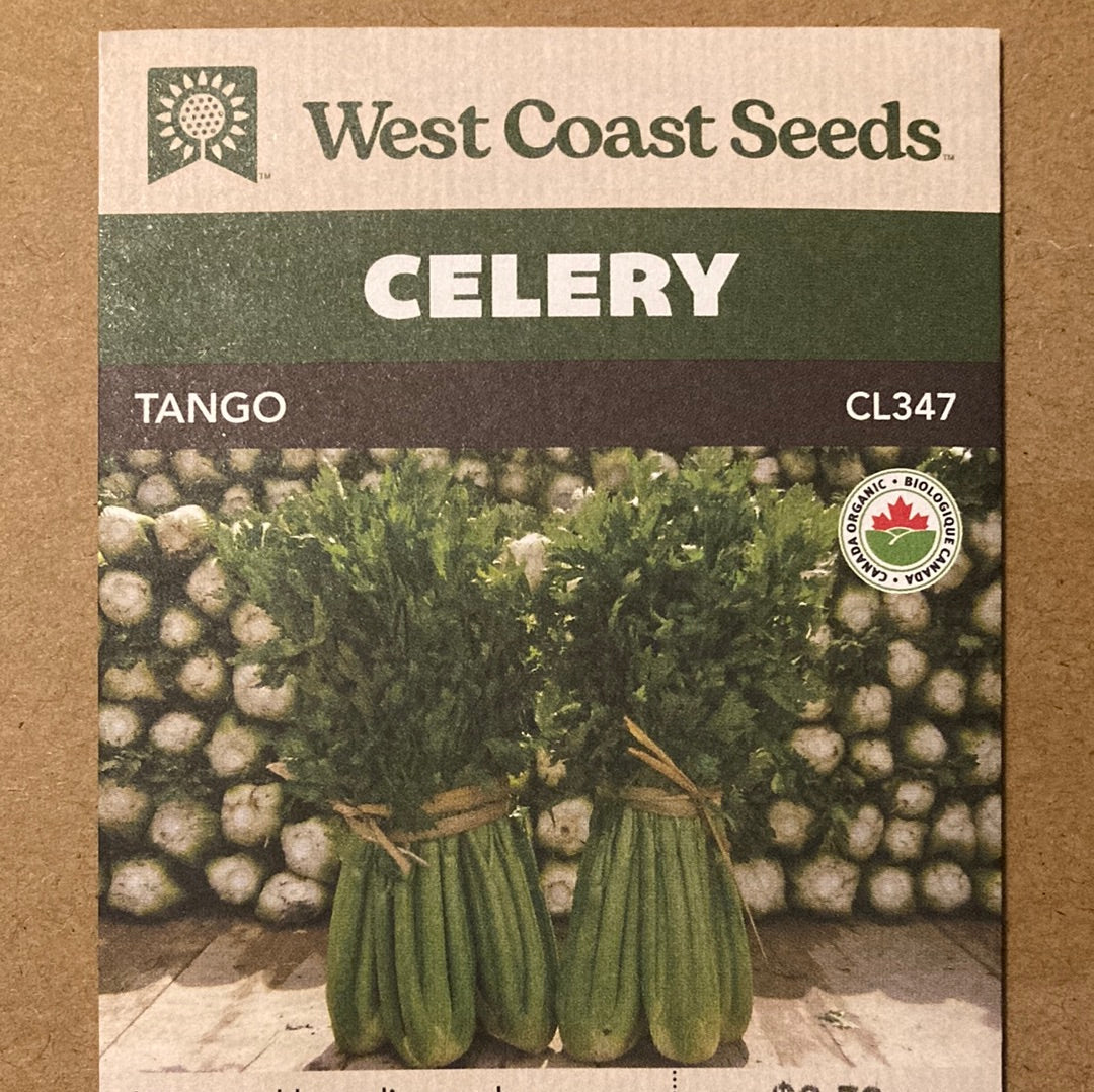 Seed WC Celery Tango — Dutch Growers Regina