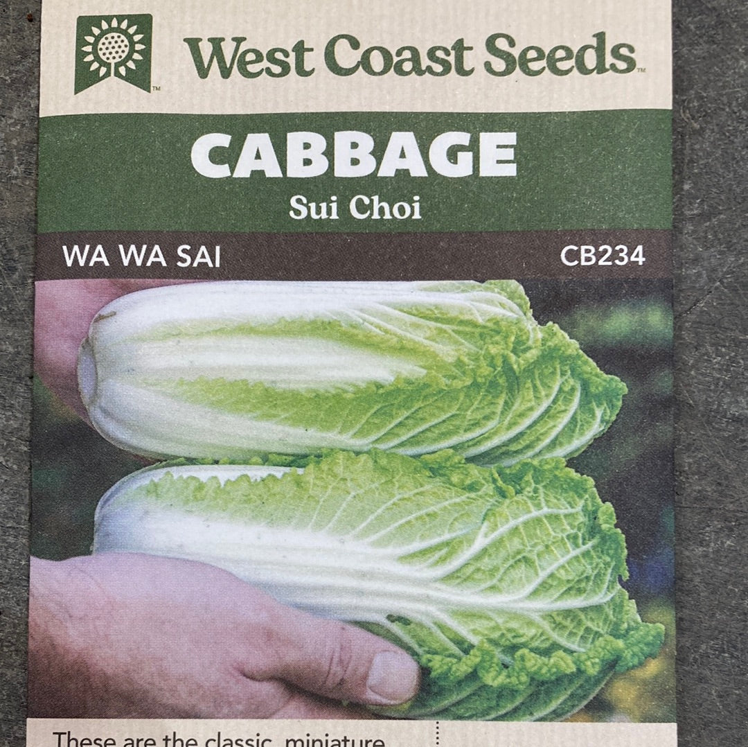 Seed WC Cabbage Wa Wa Sai — Dutch Growers Regina