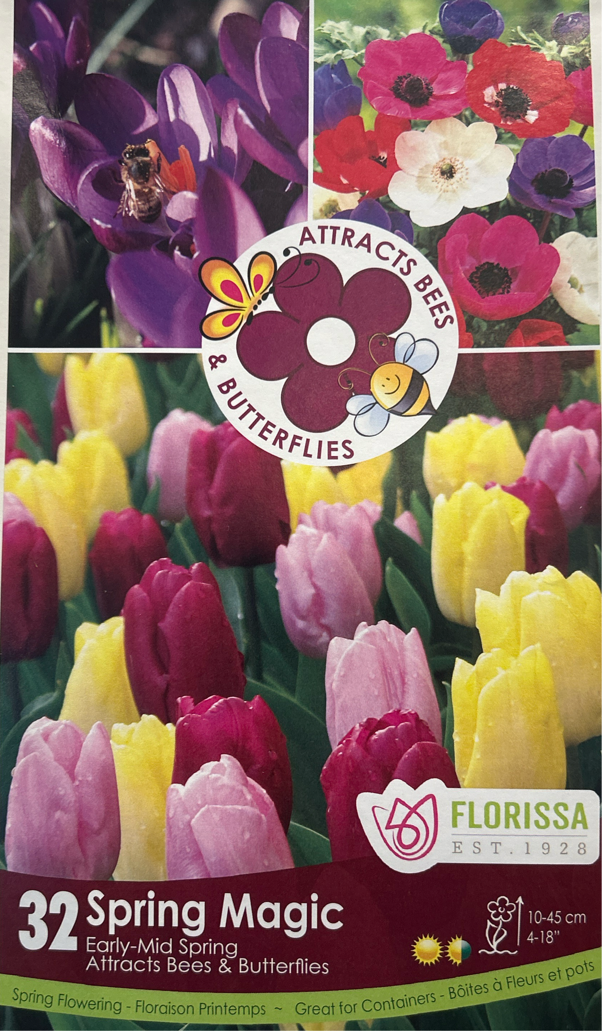 Tulip Spring Magic Feed the pollinators Spring Magic GSP 20 — Dutch ...