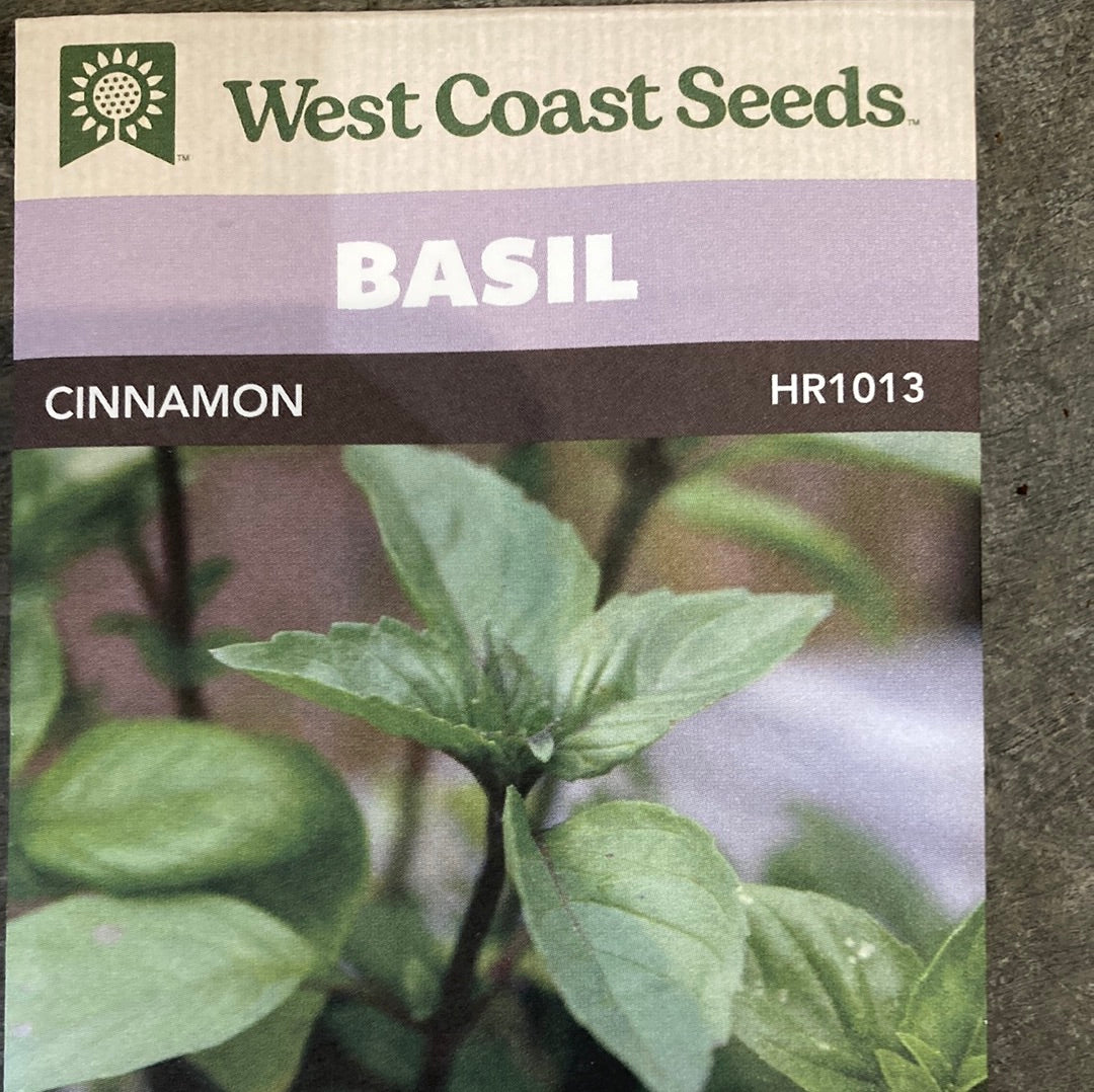 Seed WC Basil Cinnamon — Dutch Growers Regina