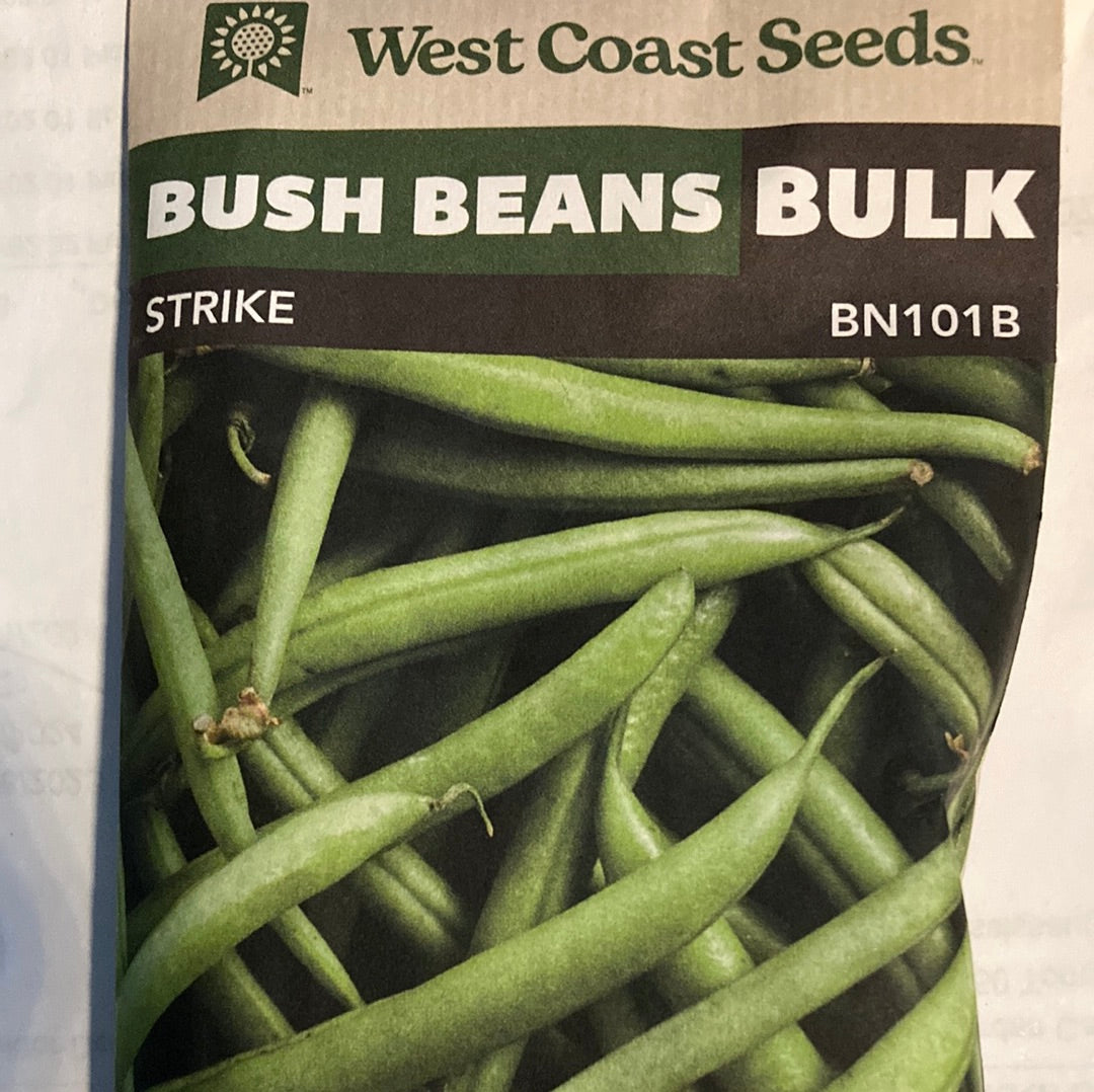 Seed WC Bean Bush Strike Bulk — Dutch Growers Regina