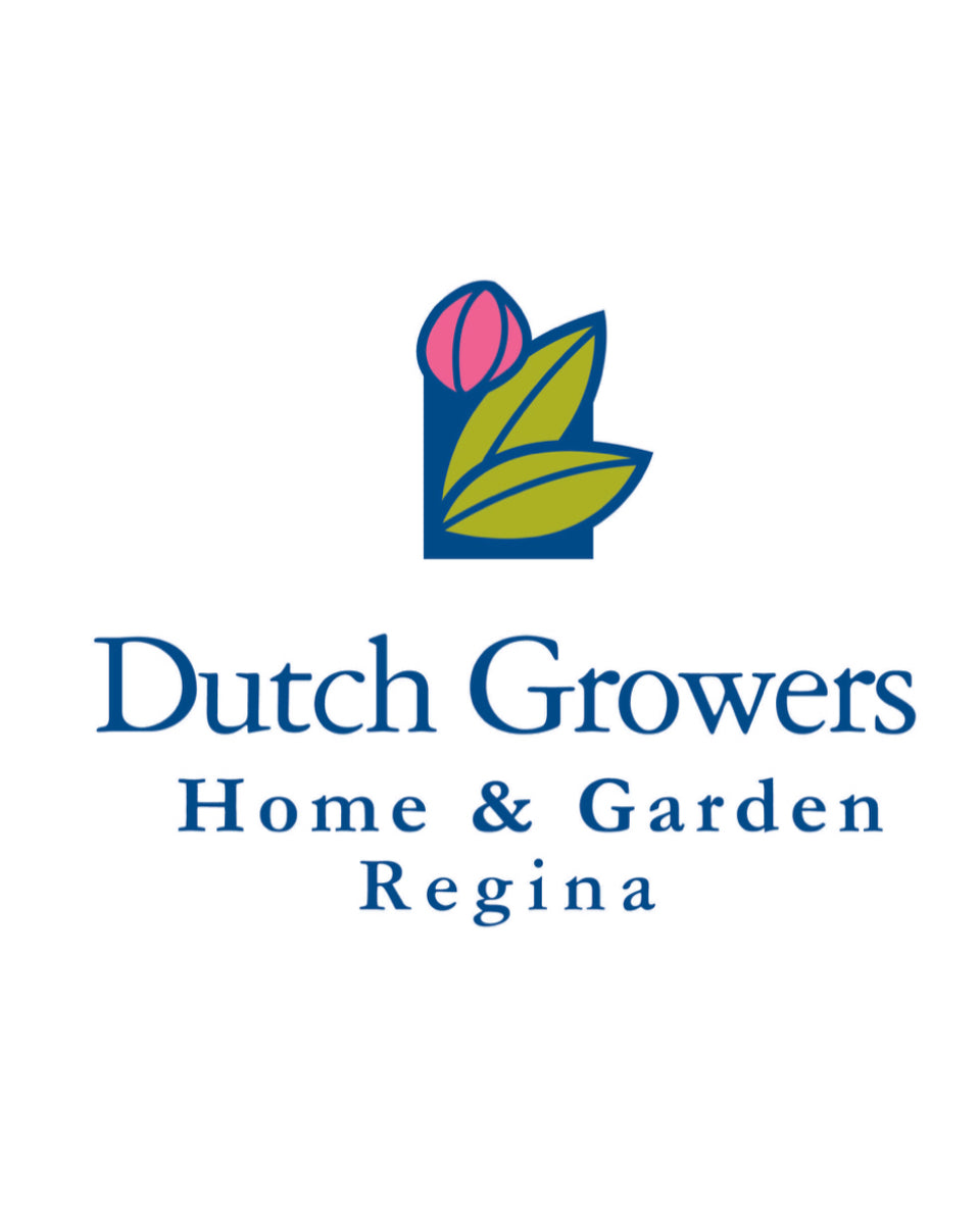 Viburnum Snowball TG 10g — Dutch Growers Regina