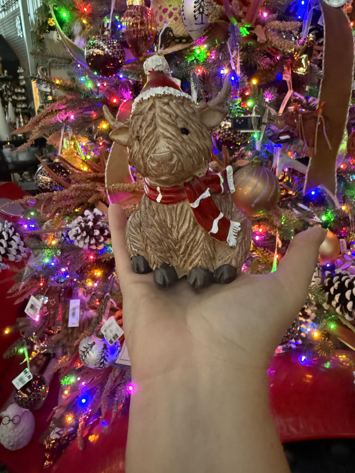 Orn Highland Holiday Cow — Dutch Growers Regina