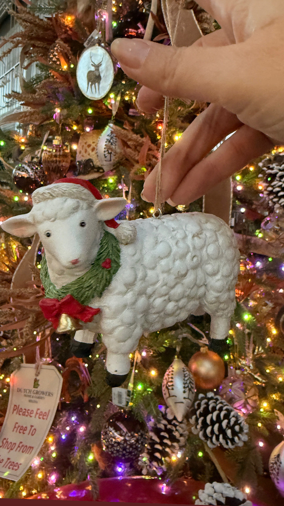 Christmas Pig/Sheep/Goat/Cow — Dutch Growers Regina