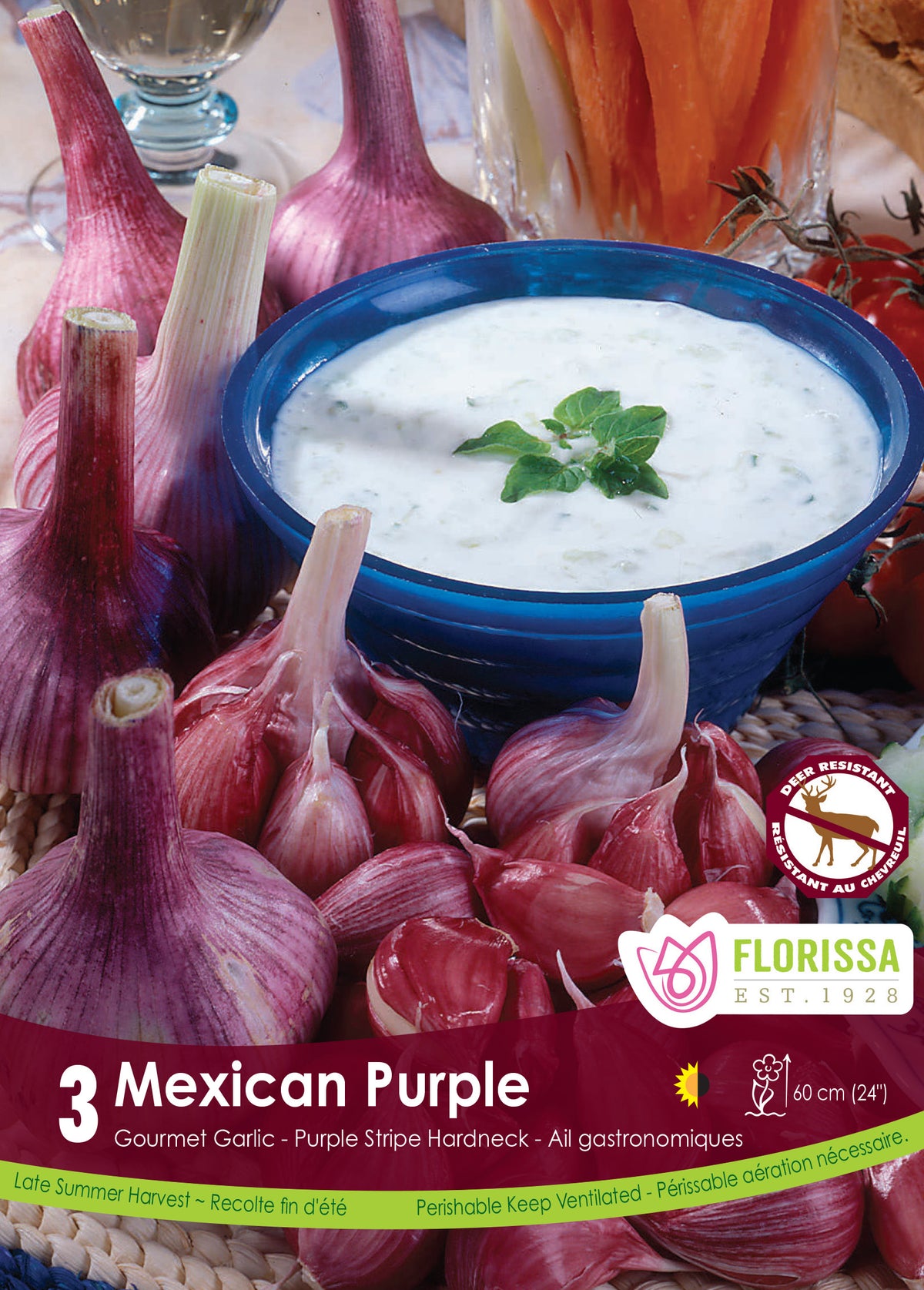 Jumbo Mexican Purple Garlic — Dutch Growers Regina