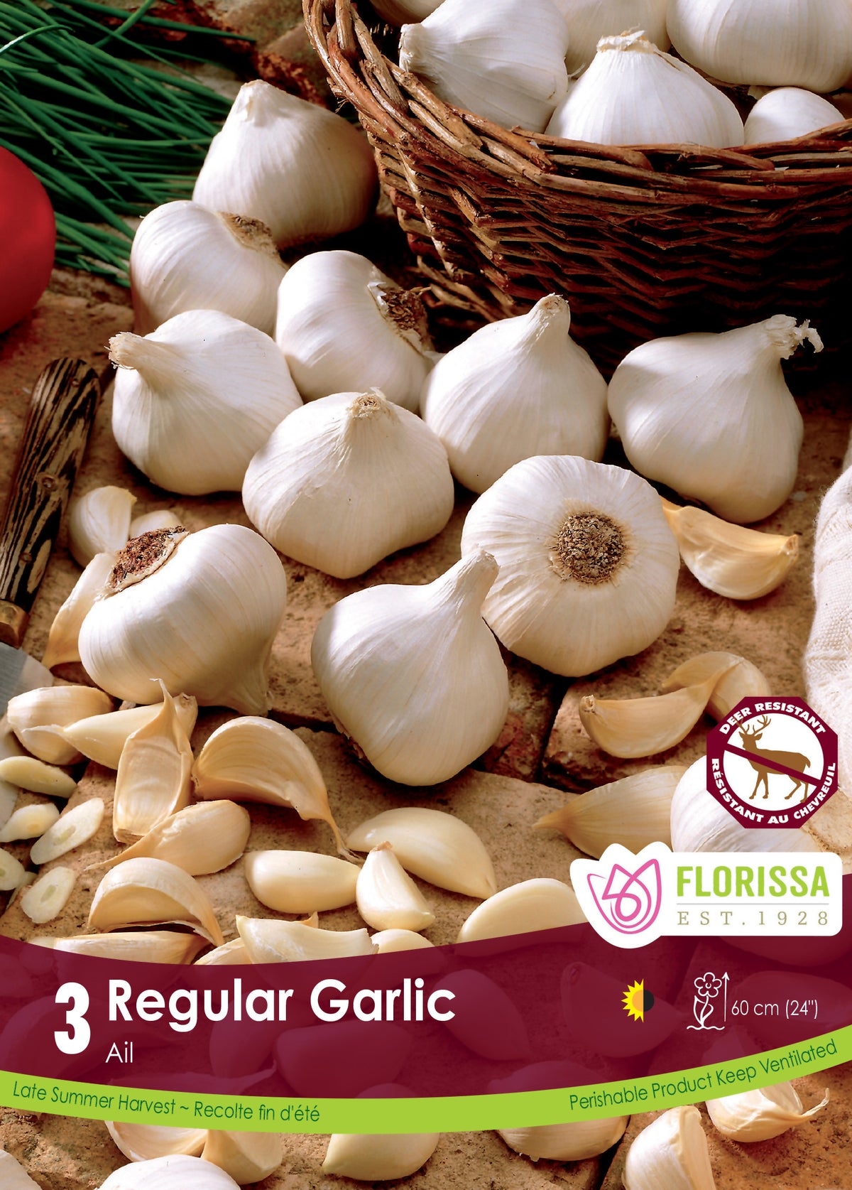 Jumbo Regular Garlic Bulk — Dutch Growers Regina