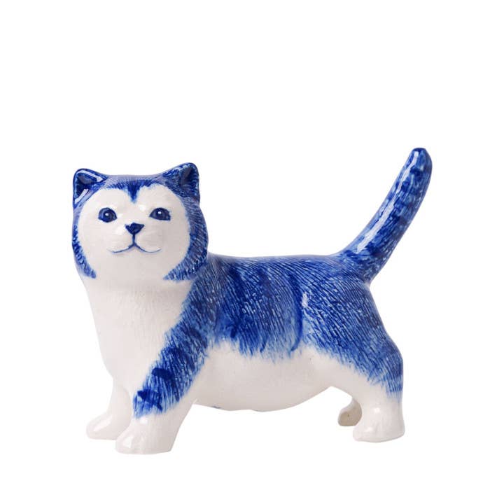 Delft Blue Cat — Dutch Growers Regina