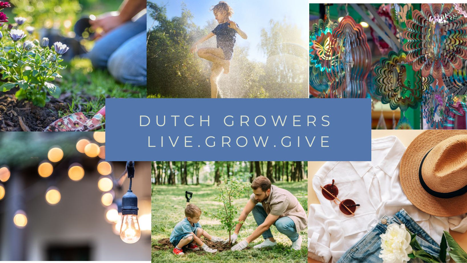 Dutch Growers — Dutch Growers Regina