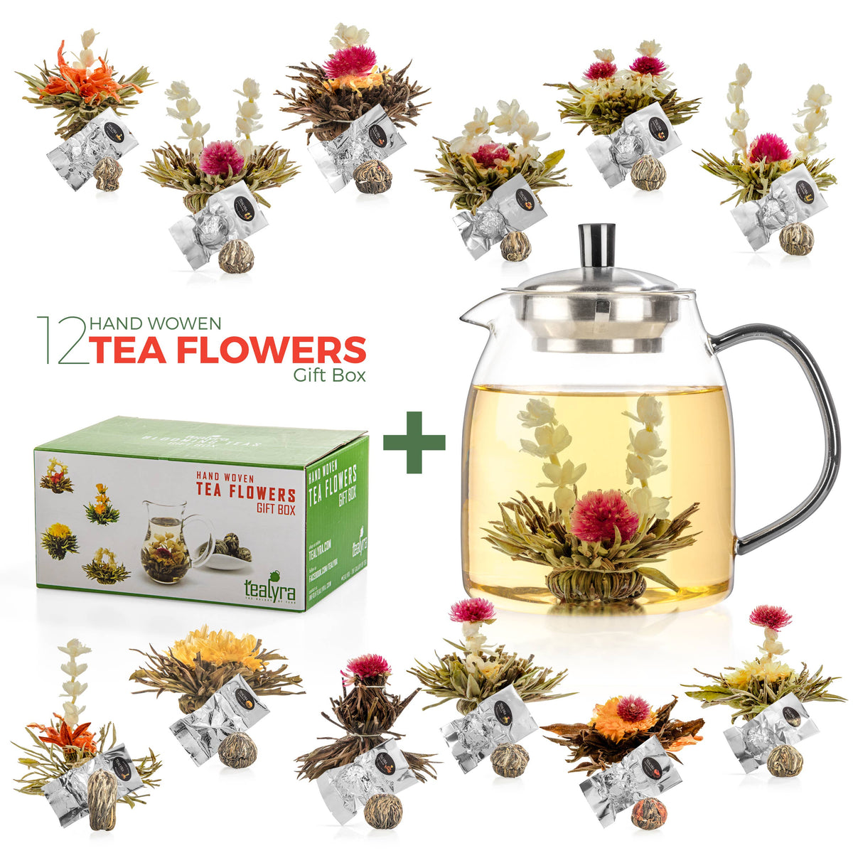 Glass Teapot + 12 Blooming Tea Gift Set — Dutch Growers Regina