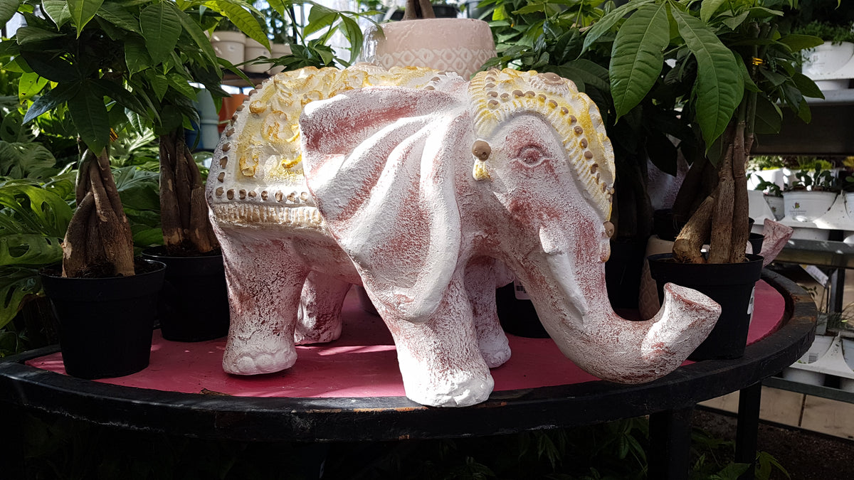 Elephant Statue Red — Dutch Growers Regina