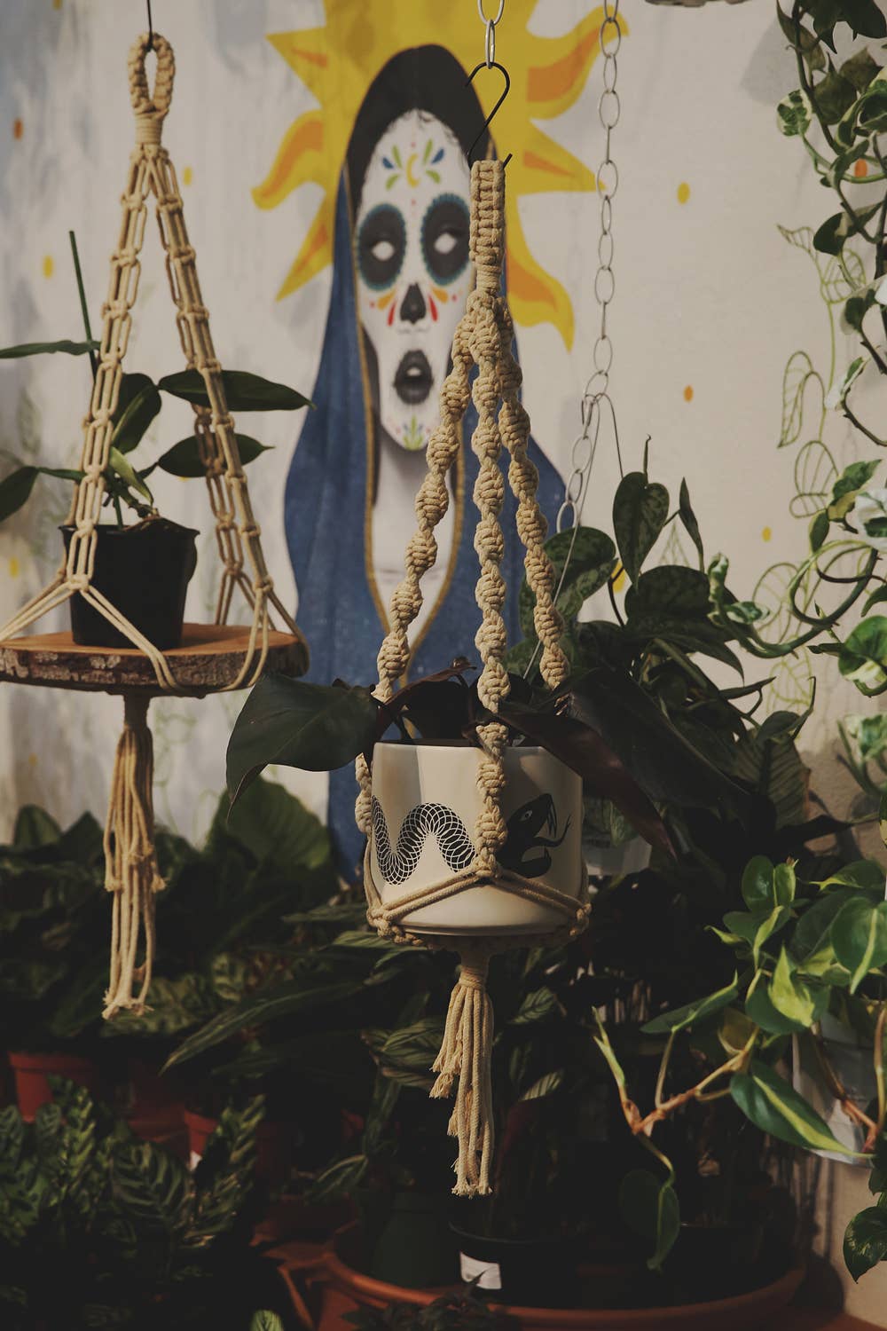 Helix Plant Hanger — Dutch Growers Regina