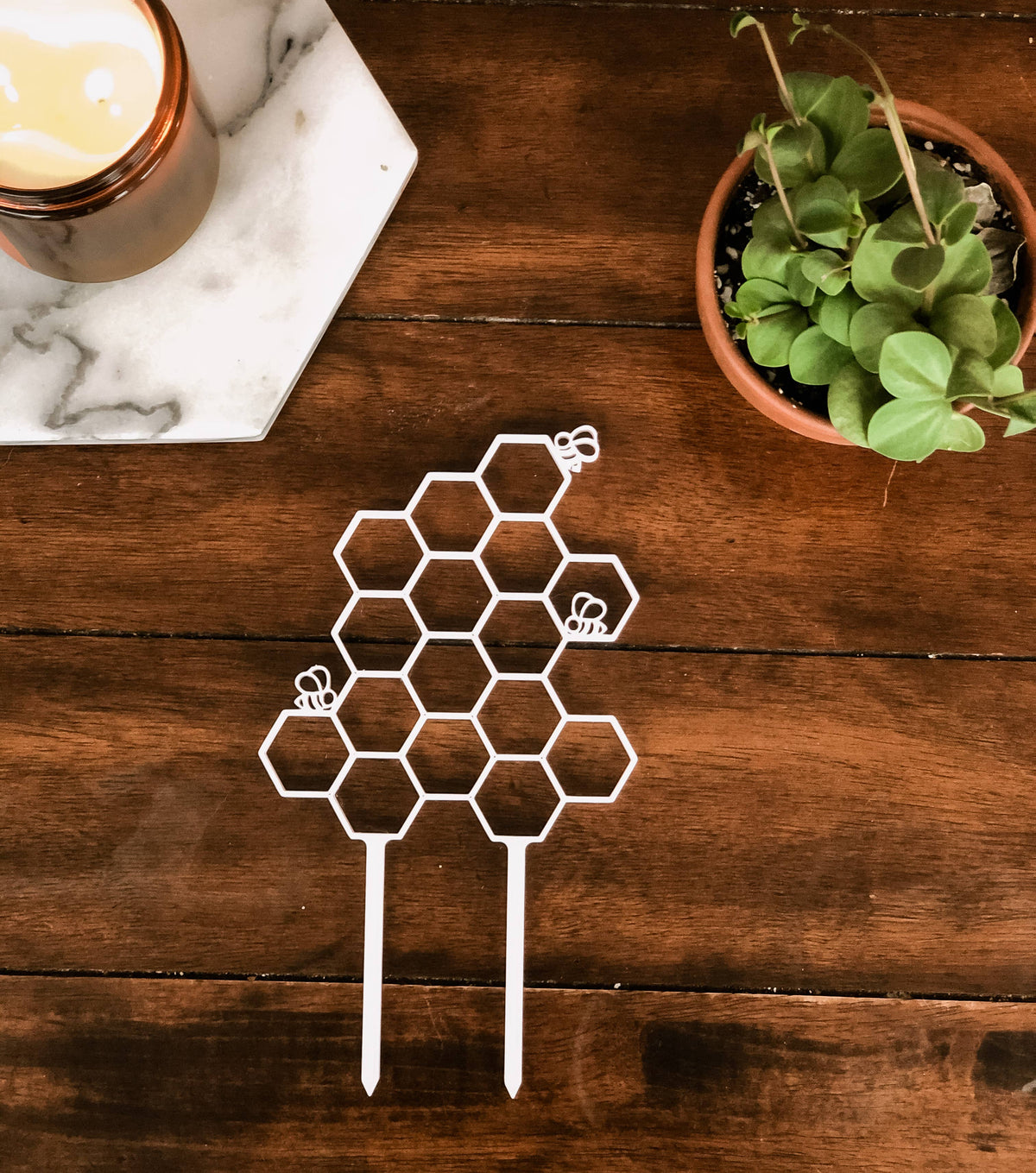 Beehive Houseplant Trellis — Dutch Growers Regina