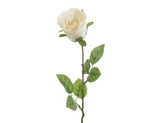 Silk Flower -Cream Rose Stem — Dutch Growers Regina