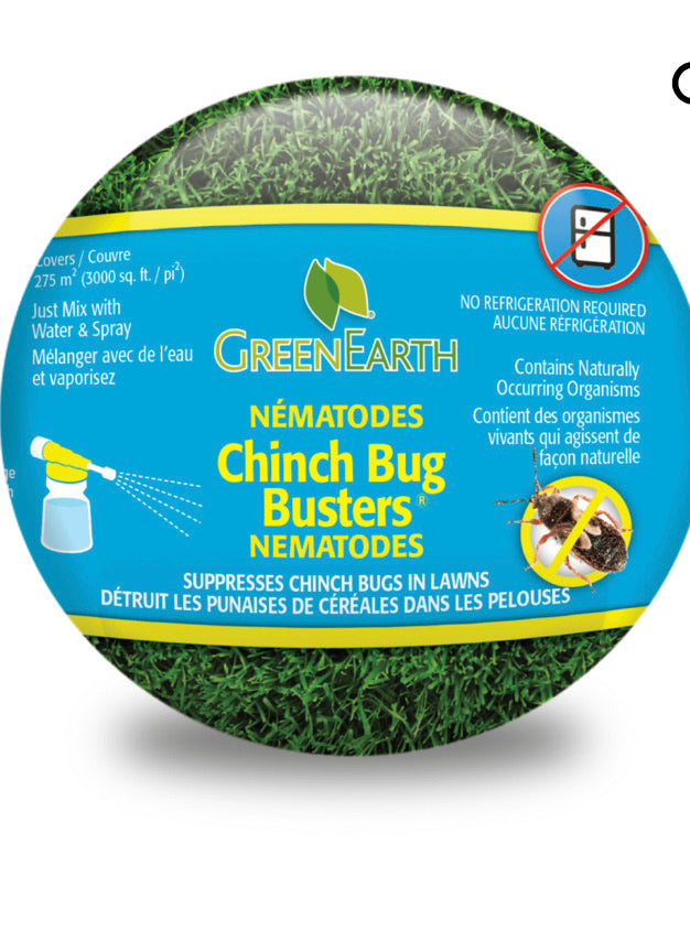 Chinch Bug Busters Nematode — Dutch Growers Regina
