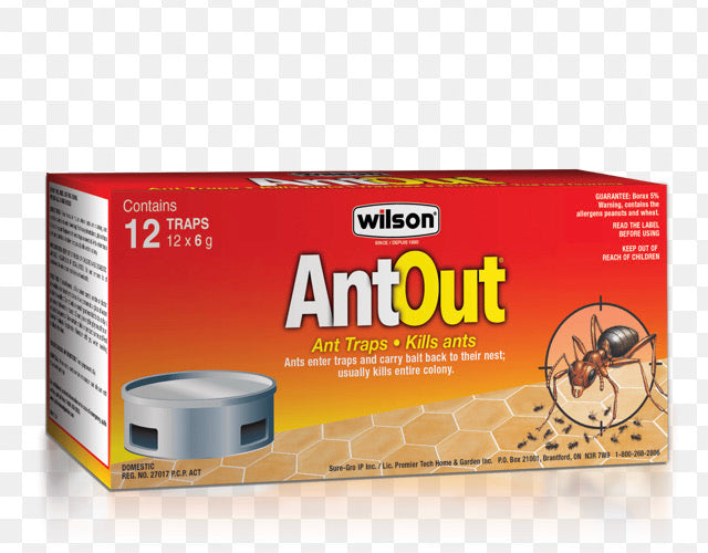 Wilson - AntOut - Bait and traps — Dutch Growers Regina