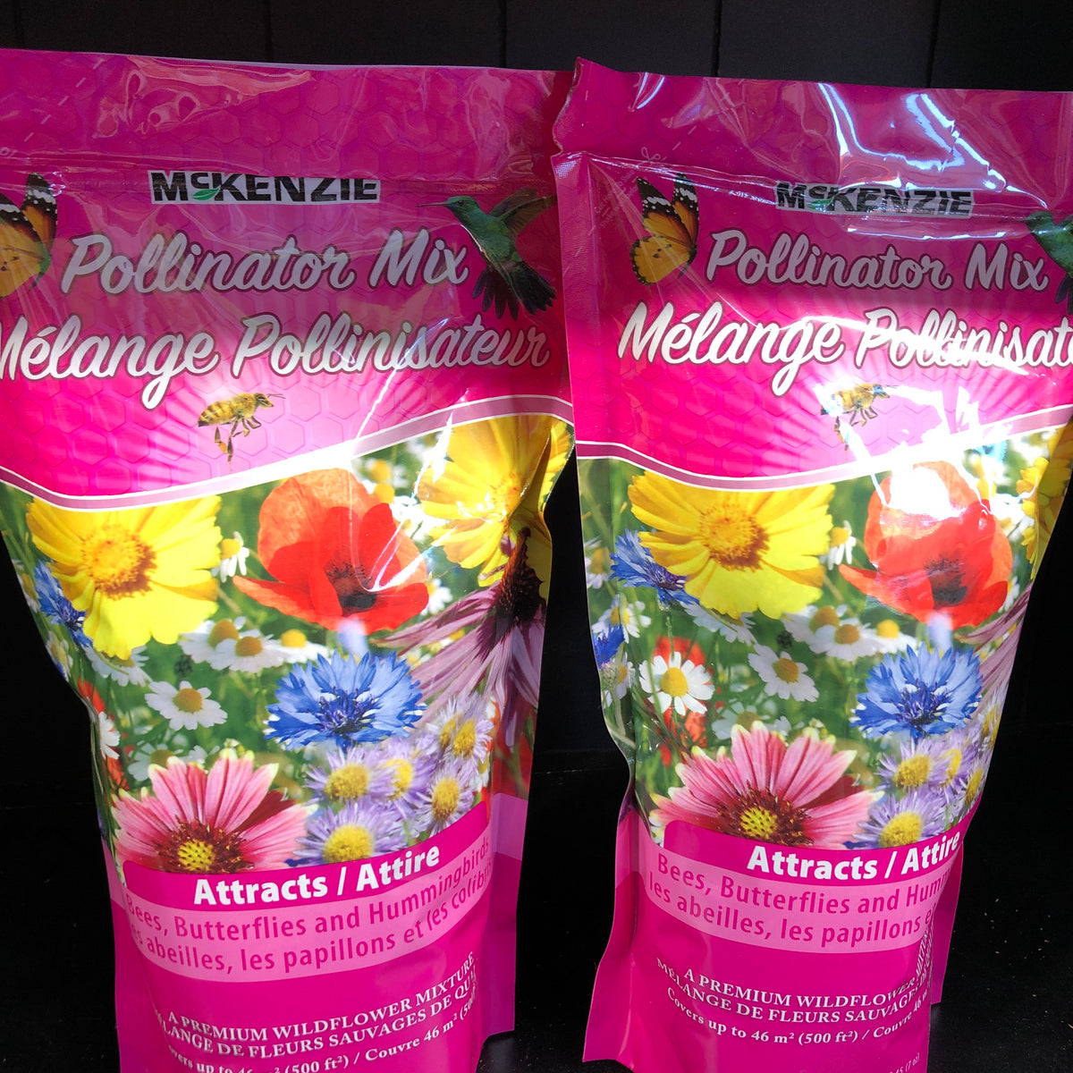 Seed pollinator Mix — Dutch Growers Regina