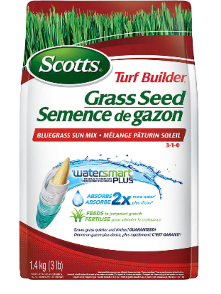 Grass Seed sunny mix with Kentucky Blue — Dutch Growers Regina