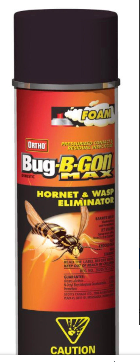 Wasp B Gon Foam — Dutch Growers Regina
